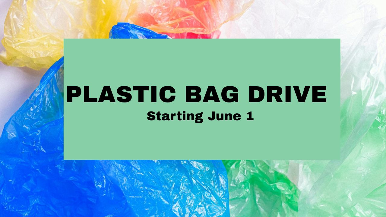 Plastic Bag Drive Underway June 1 – Griffin Free Public Library Auburn, NH